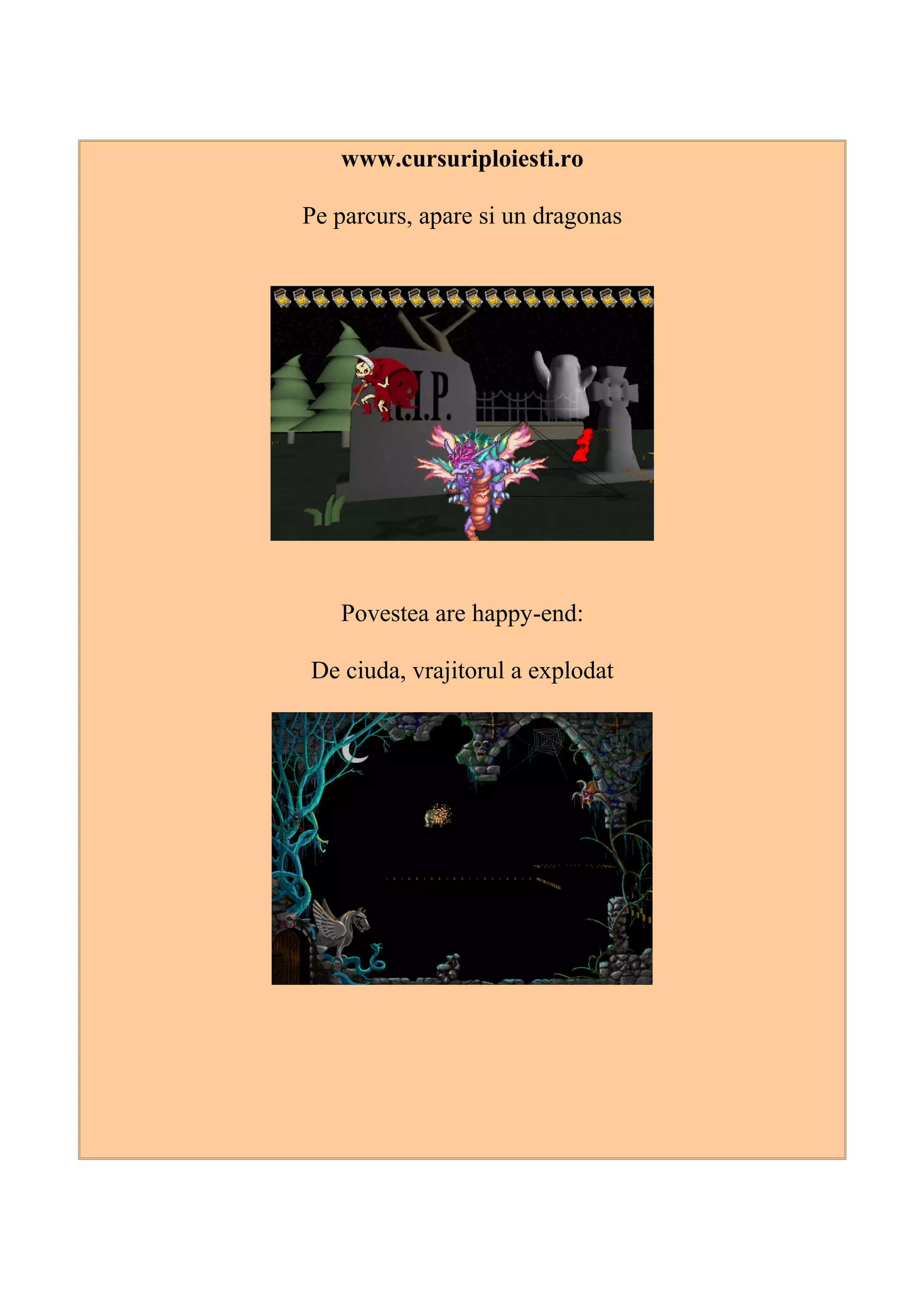 Miruna invata programare | PDF