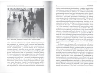 Mirzoeff, Nicolas - Una introducción a la cultura visual.pdf