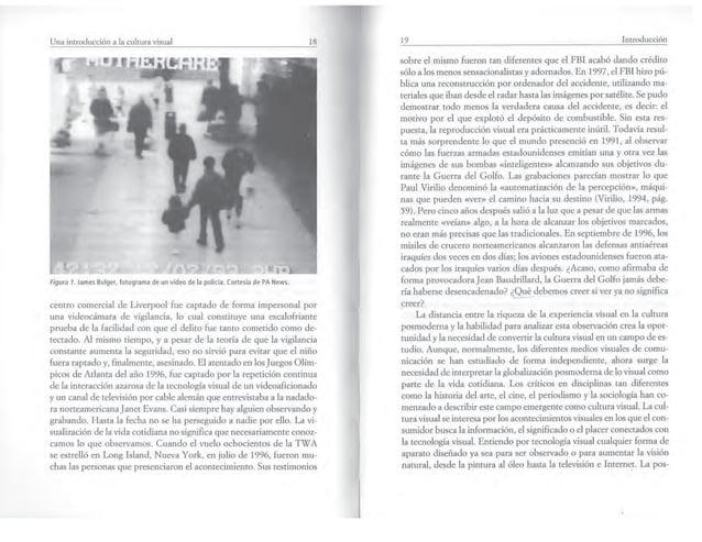 Mirzoeff, Nicolas - Una introducción a la cultura visual.pdf