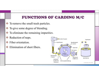 Spinng Section | PPT