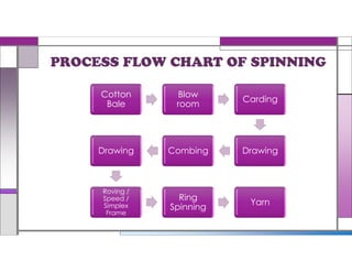 Spinng Section | PPT