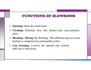 Spinng Section | PPT