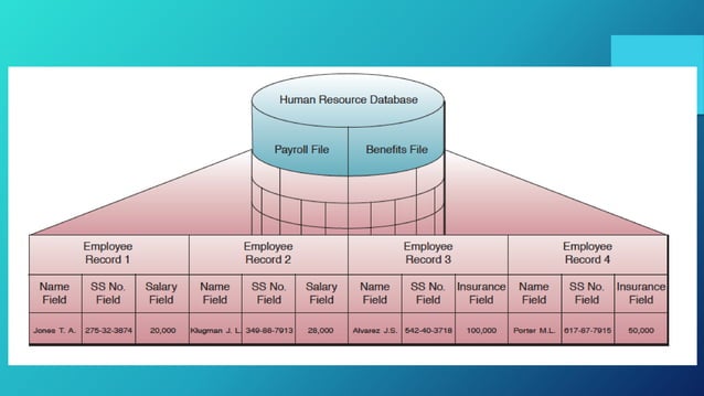Database Management and it is definition | PPT