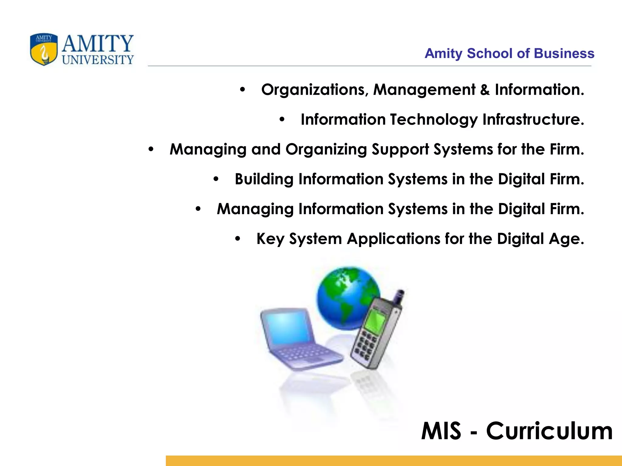 MIS1: Organization Management & Information | PDF
