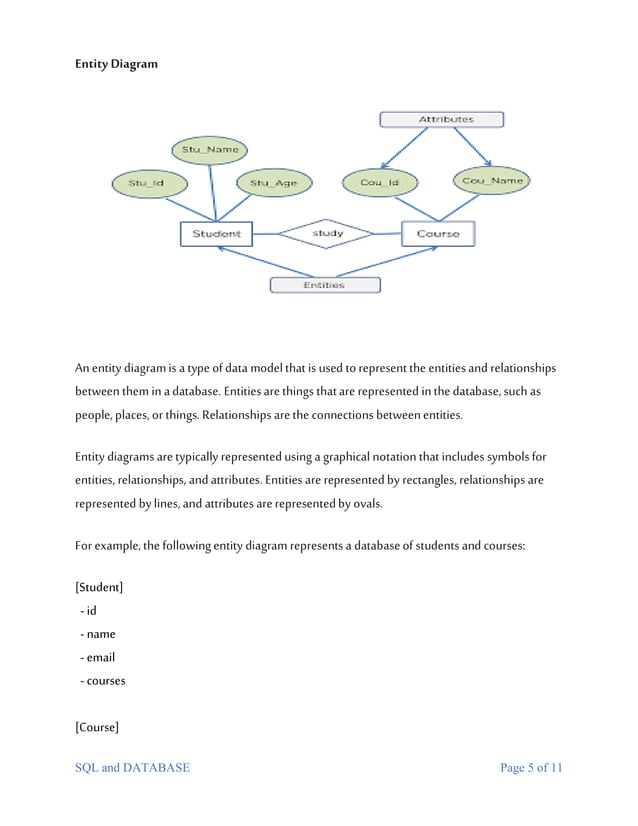 Mis201 Sql Database Pdf
