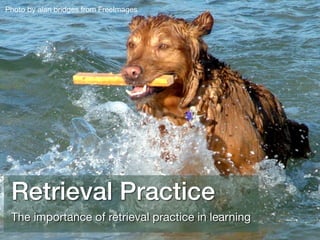 Make It Stick 2: Retrieval | PDF