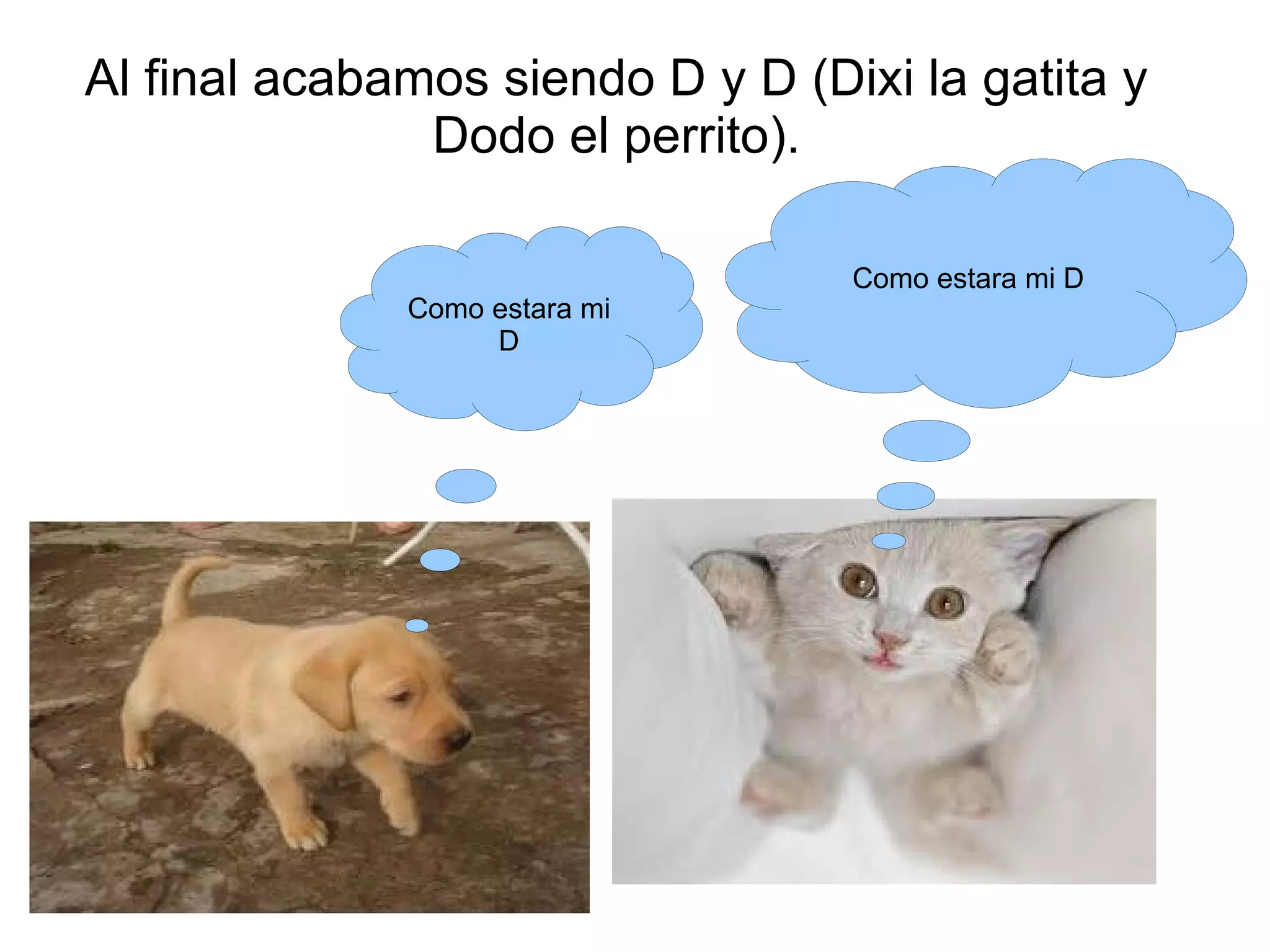 Mis amigos y yo | ODP | Pets