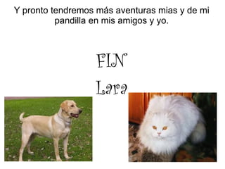 Mis amigos y yo | PPT