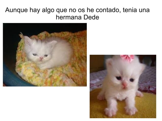 Mis amigos y yo | PPT