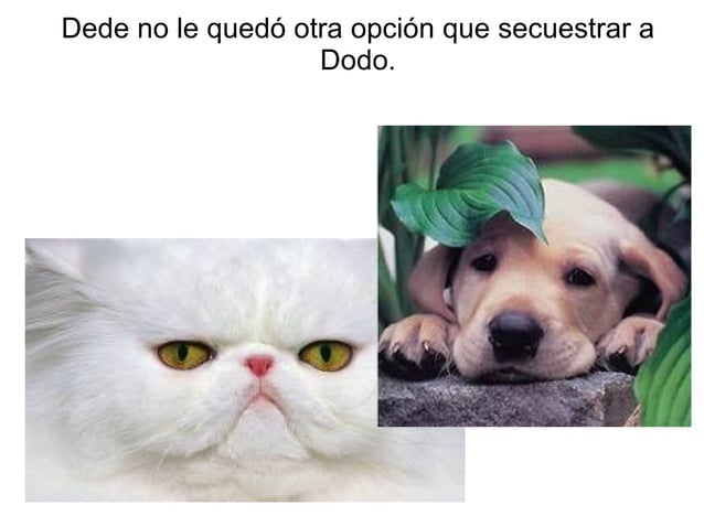 Mis amigos y yo | PPT