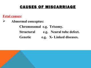 Miscarriages | PPT
