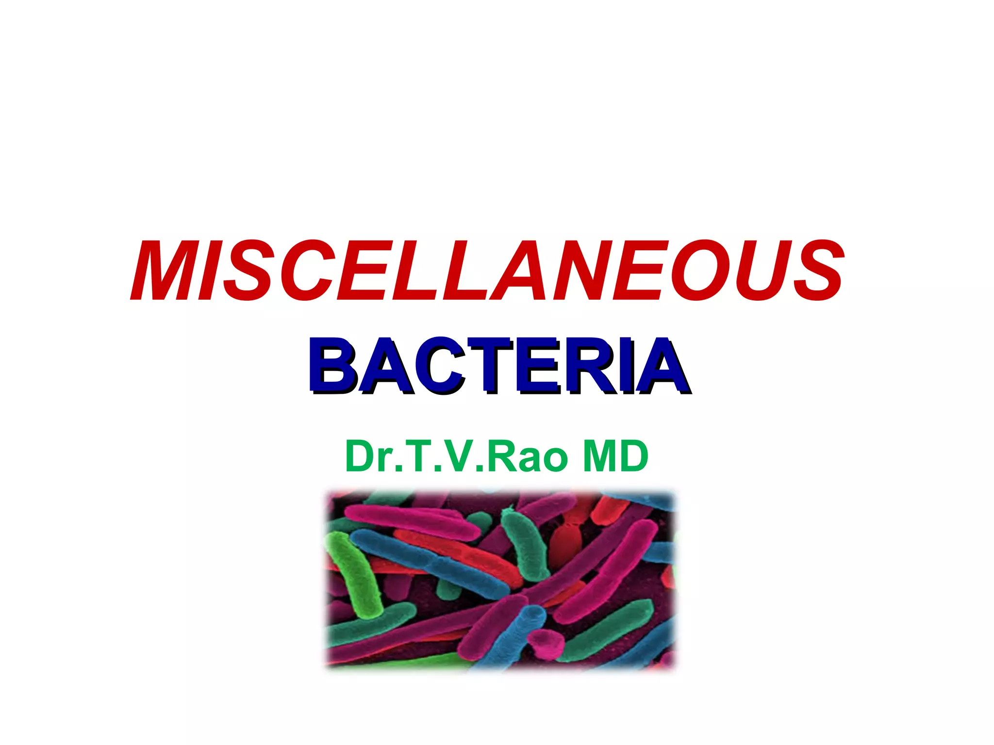 MISCELLANEOUS BACTERIA | PPT