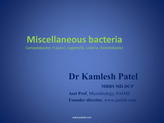 Miscellaneous bacteria campylo h pylori acineto legionella listeria | PPTX
