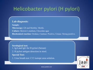 Miscellaneous bacteria campylo h pylori acineto legionella listeria | PPT