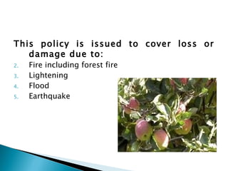 Miscellaneous insurance | PPT