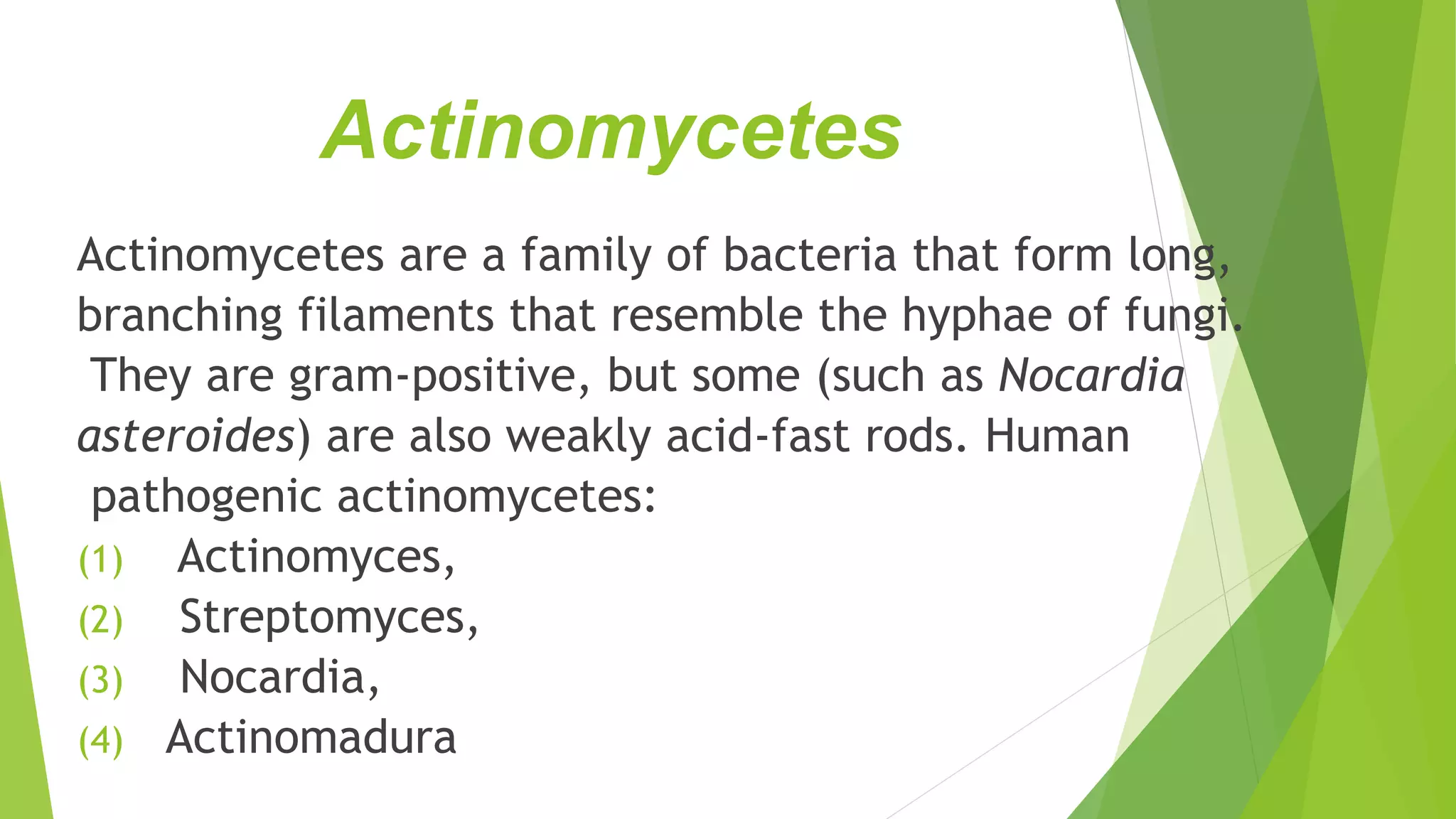 Misc gram +ve | PPTX