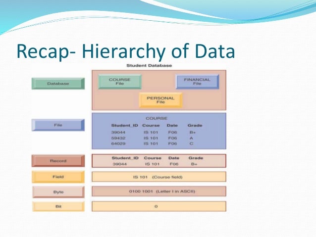 Mis chapter 7 database systems