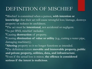 mischief explained under bharatiya nyaya sanhita | PPTX