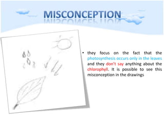 Misconception | PPT