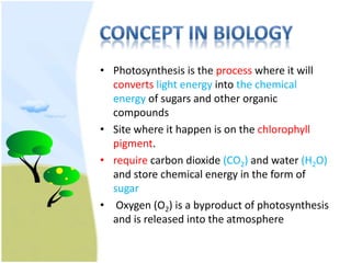 Misconception of biology student | PPTX