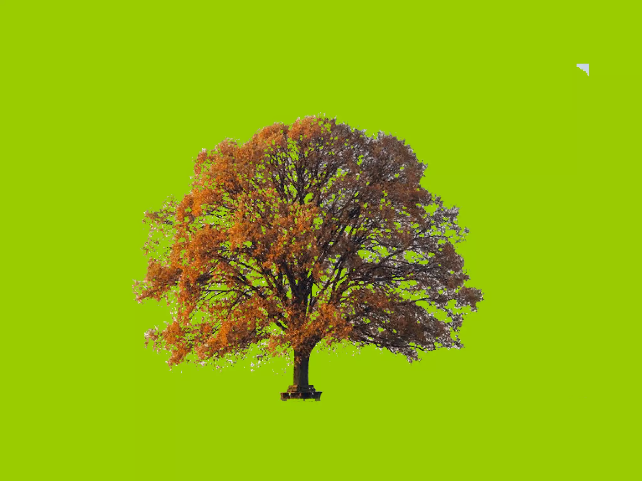 Mis diaposistivas | PPT