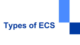 MIS ECS.pptx | Free Download