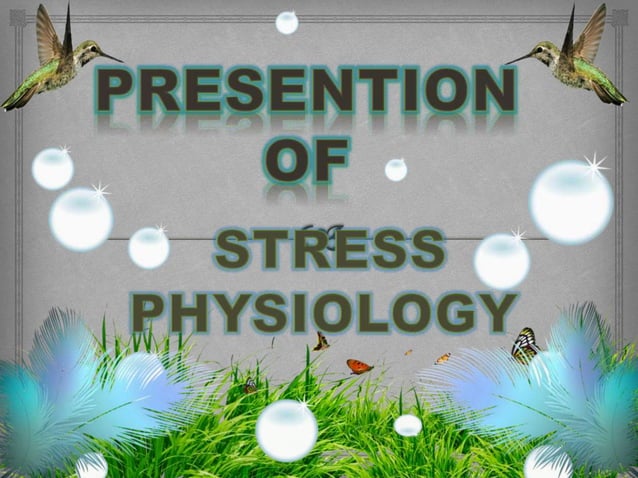 Stress ppt | PPT
