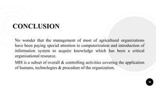 MIS (MANAGEMENT INFORMATION SYSTEM) | PPTX