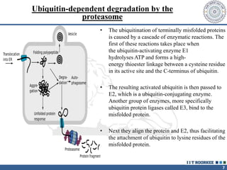 Misfolded proteins | PPTX