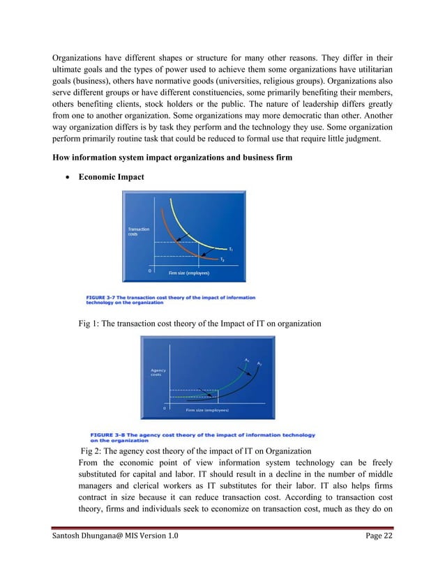 Management Information System (Full Notes) | PDF