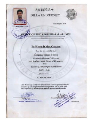 Misgana file.pdf