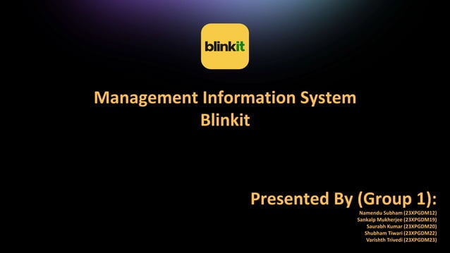 MIS Group 1 Presentation on Blinkit .pptx | Logistics | Business