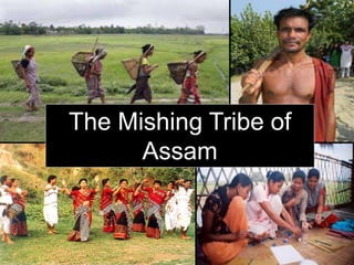 A study of the local tribes of Assam - Mishing under ISA by the ...
