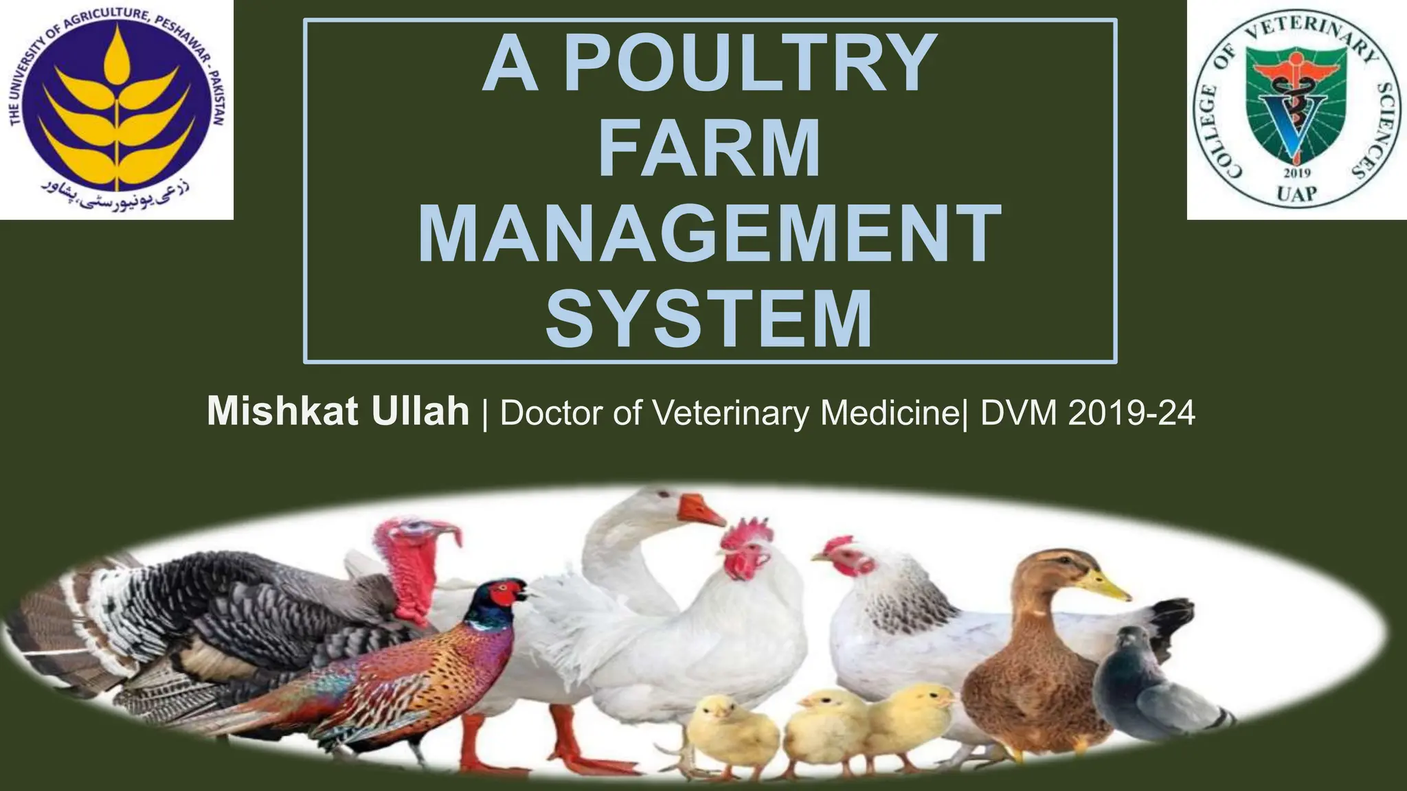 Poultry farm management involves overseeing the various operations and ...