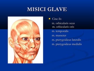Misici | PPT