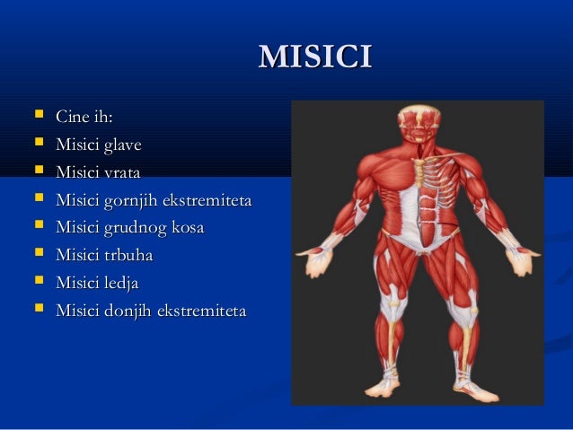 Misici