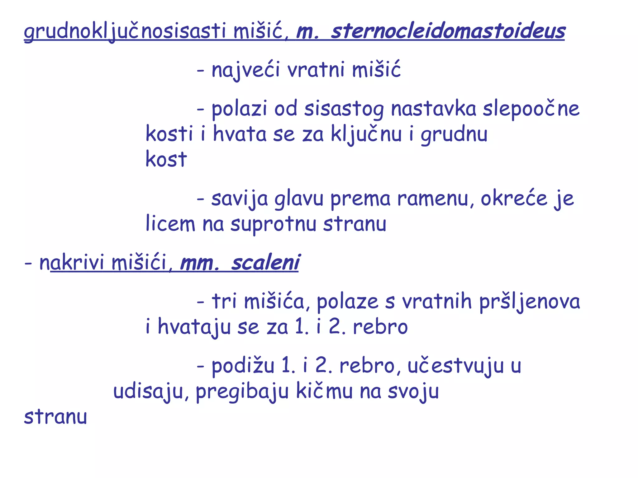 Misici glave, vrata i trupa | PPT