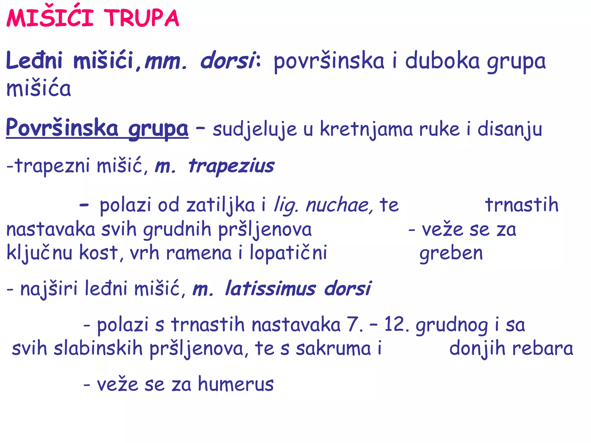 Misici glave, vrata i trupa | PPT