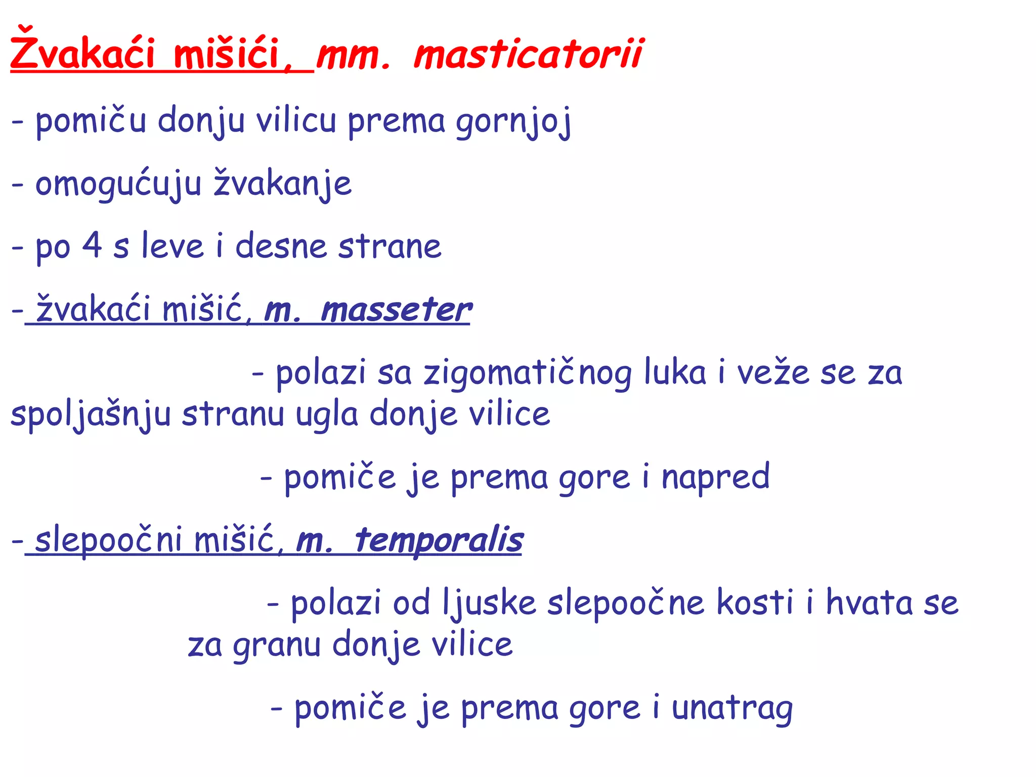 Misici glave, vrata i trupa | PPT