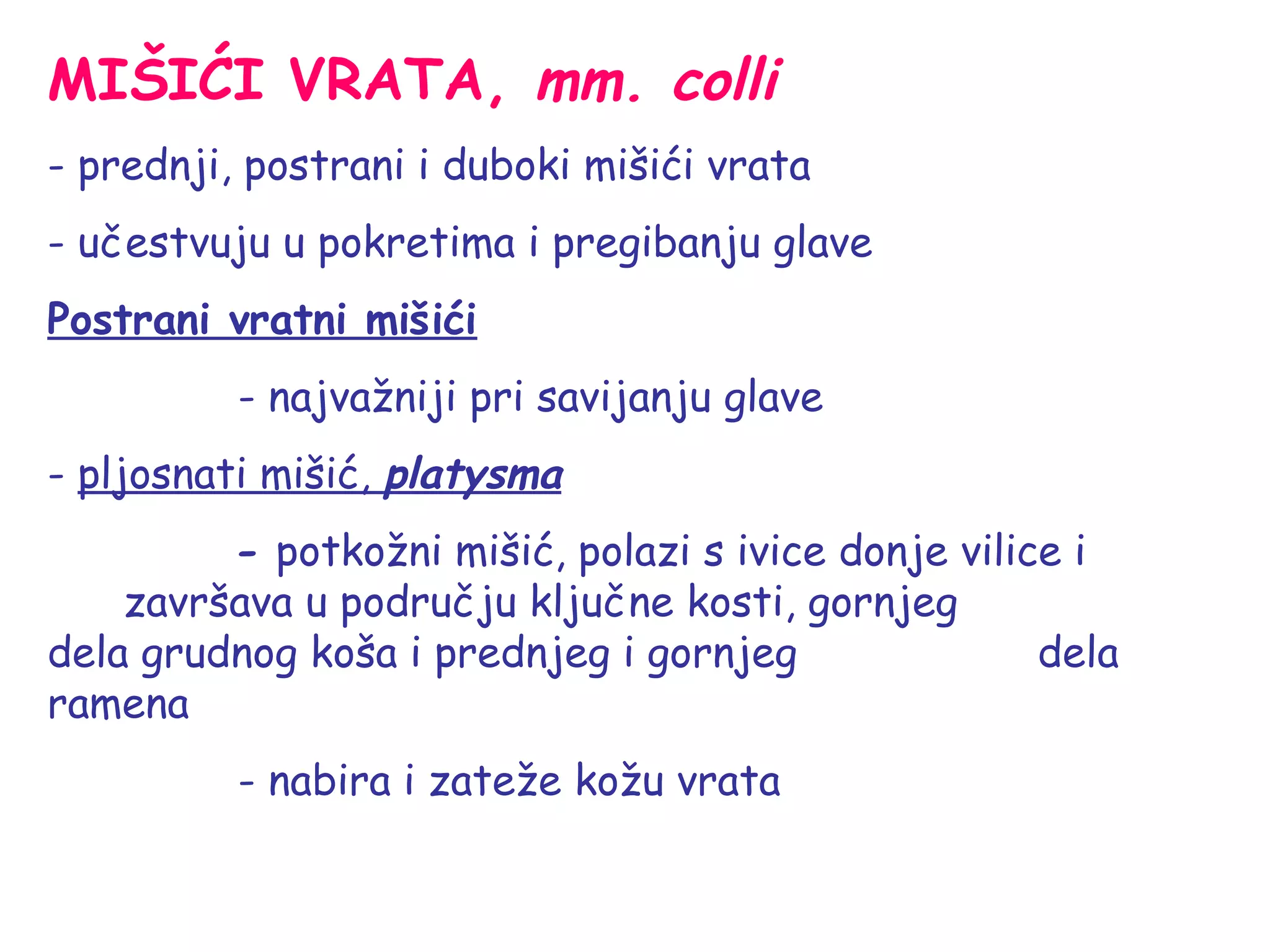 Misici glave, vrata i trupa | PPT