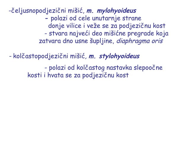 Misici glave, vrata i trupa | PPT