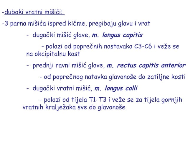 Misici glave, vrata i trupa | PPT