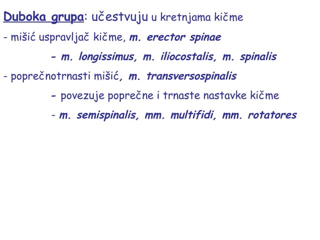 Misici glave, vrata i trupa | PPT