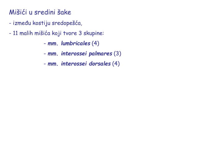 Misici gornjeg ekstremiteta | PPT