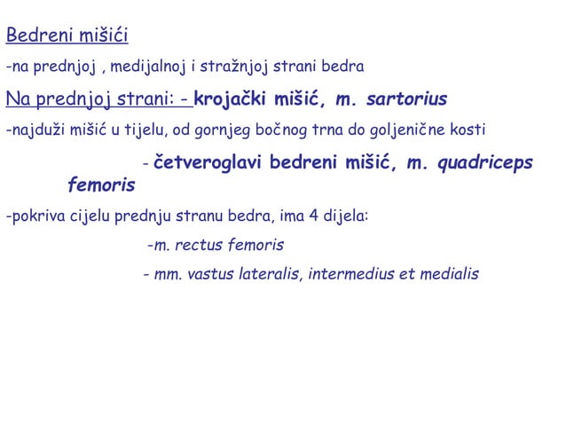 Misici gornjeg ekstremiteta | PPT