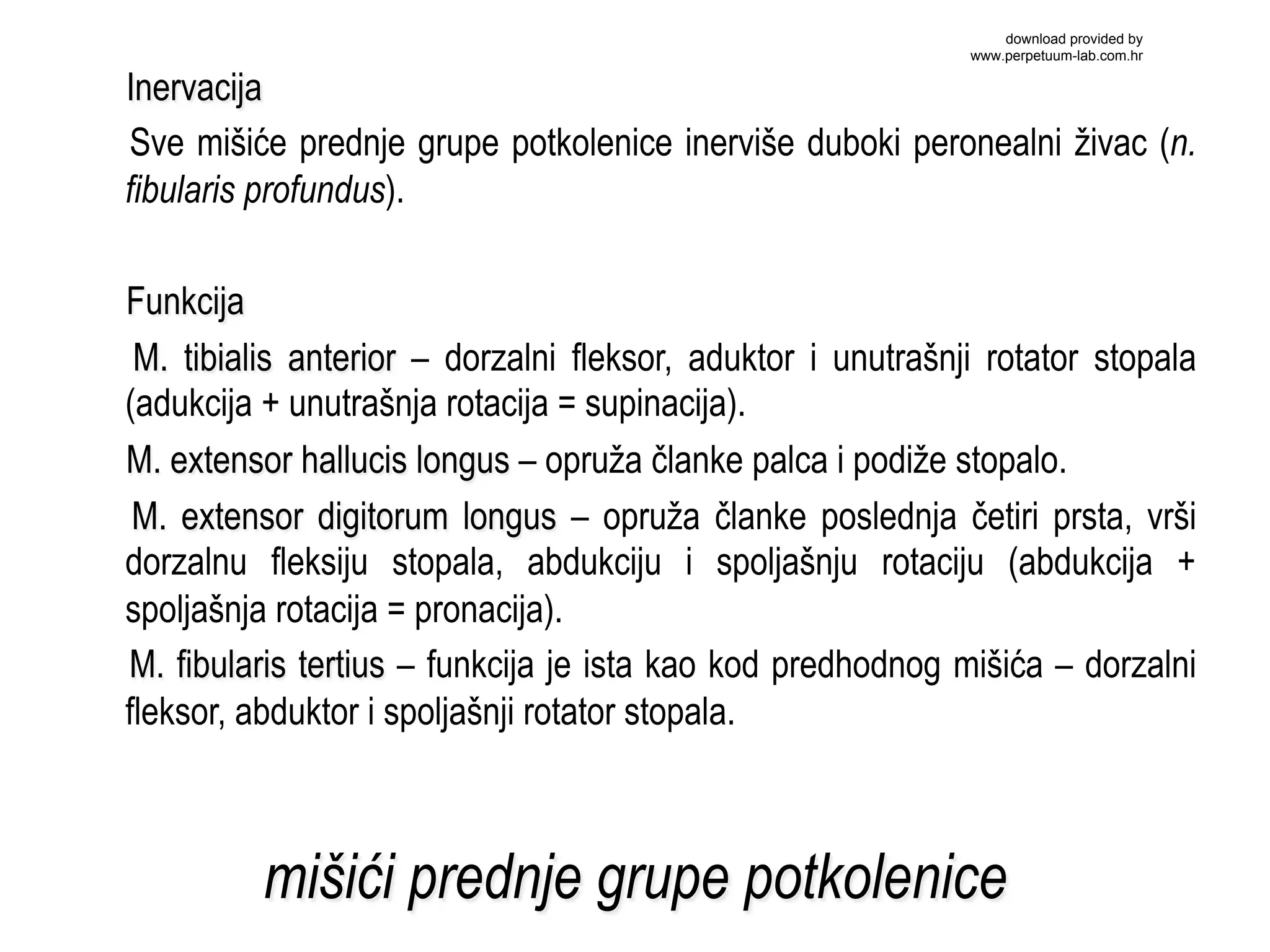 Misicii potkolenice i stopala | PDF