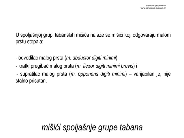 Misicii potkolenice i stopala | PDF