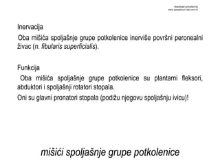 Misicii potkolenice i stopala | PDF