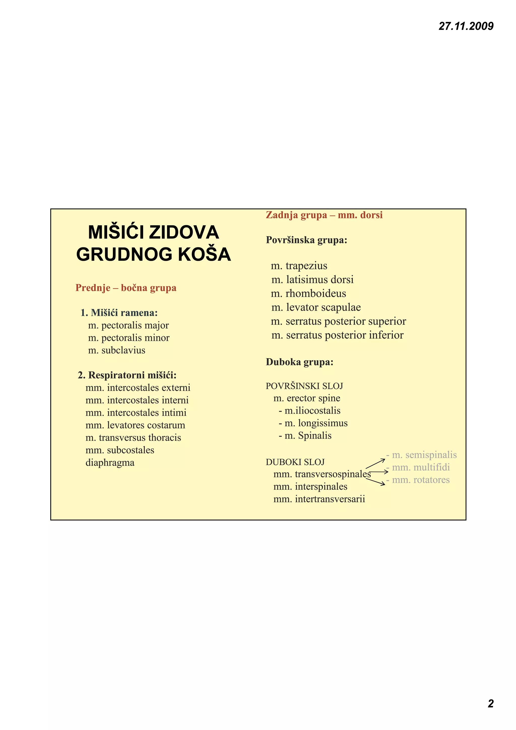Misici zidova grudnog kosa | PDF