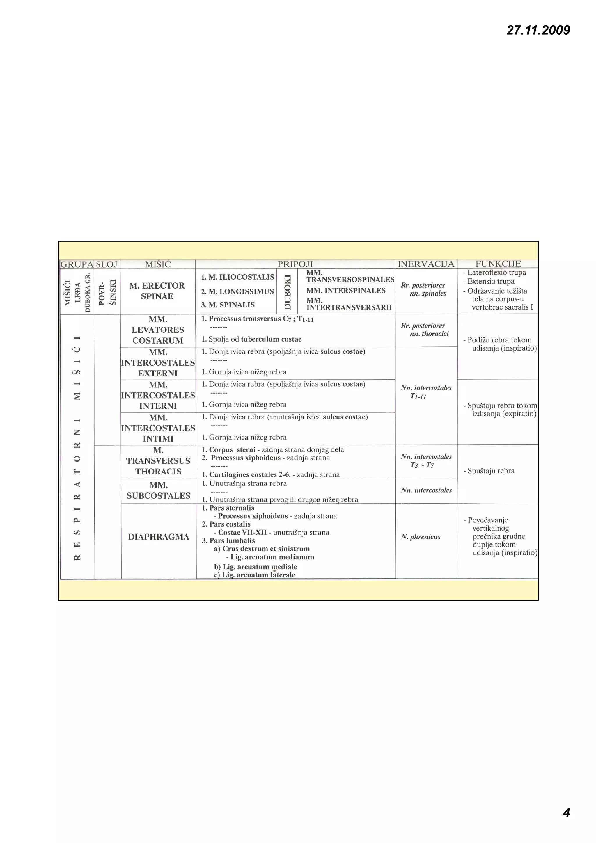 Misici zidova grudnog kosa | PDF